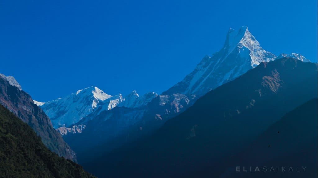 Fishtail Archives - Elia Saikaly Licensing